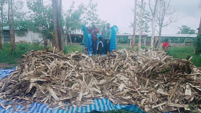 Agar-SIT | Gaharu 沉香 Agarwood