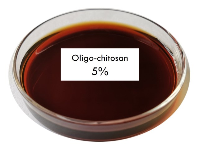 Chitosan | Gaharu 沉香 Agarwood